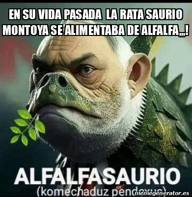Meme Personalizado - EN SU VIDA PASADA LA RATA SAURIO MONTOYA SE ...