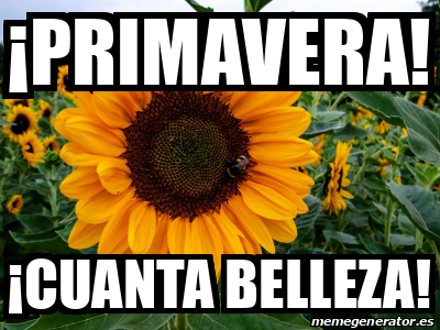 Meme Personalizado - ¡PRIMAVERA! ¡CUANTA BELLEZA! - 33515559