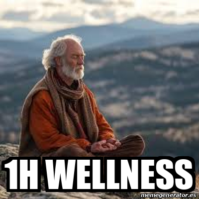 Meme Personalizado - 1h wellness - 33516608