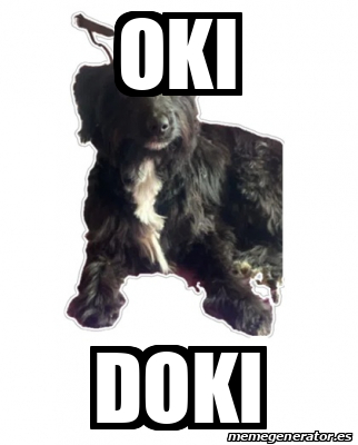 Meme Personalizado - oki doki - 33531481