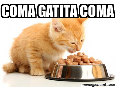 Meme Personalizado - Coma gatita coma - 33533506