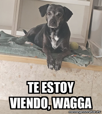 Meme Personalizado - Te estoy viendo, Wagga - 33536363