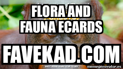 Meme Personalizado - Flora and Fauna Ecards favekad.com - 33543747