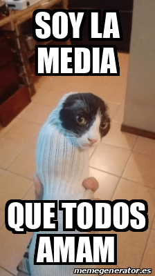 Meme Personalizado - Soy la Media Que todos amam - 33545494