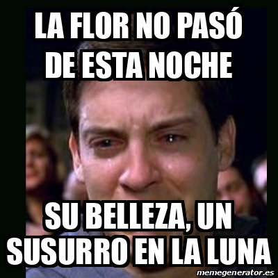 Meme crying peter parker - La flor no pasó de esta noche Su belleza, un ...