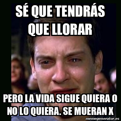 Meme crying peter parker - Sé que tendrás que llorar Pero la vida sigue ...