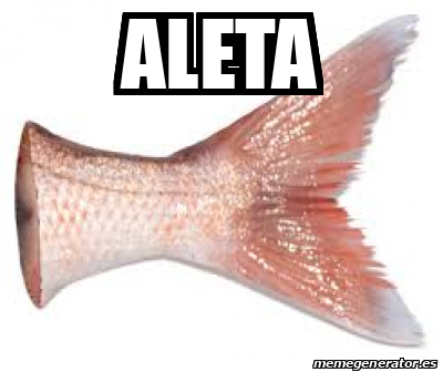 Meme Personalizado - aleta - 33552909