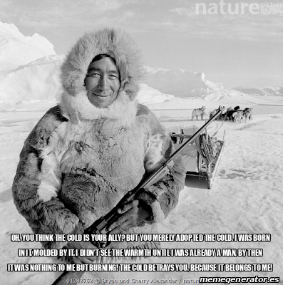 Meme Personalizado - Oh, you think the cold is your ally? But you ...