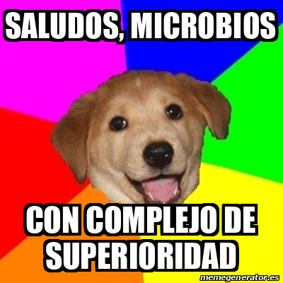 Meme Advice Dog - saludos, microbios con complejo de superioridad ...