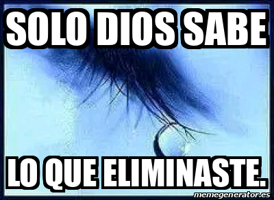 Meme Personalizado - Solo Dios sabe Lo que eliminaste. - 33558635
