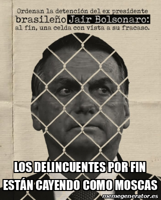 Meme Personalizado - los delincuentes por fin están cayendo como moscas ...