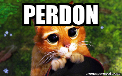Meme Personalizado - perdon - 33568833