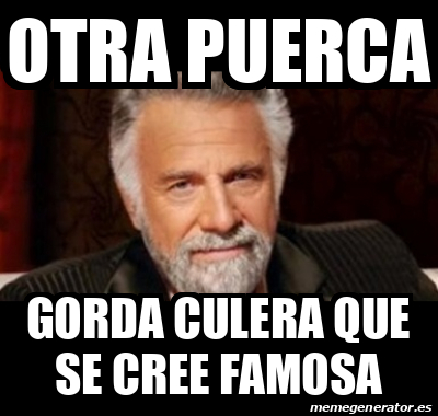 Meme Personalizado - OTRA PUERCA GORDA CULERA QUE SE CREE FAMOSA - 33573220