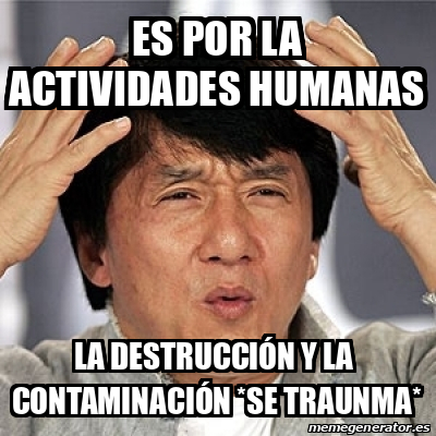 Meme Jackie Chan - Es por la actividades humanas la destrucción y la ...