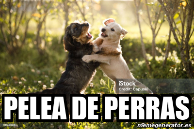 Meme Personalizado - Pelea de perras - 33580421