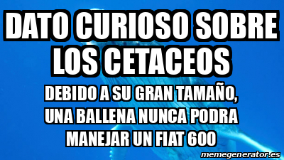 Meme Personalizado - dato curioso sobre los cetaceos debido a su gran ...