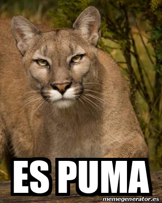 Meme Personalizado - Es puma - 33592502