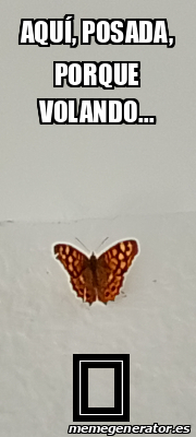 Meme Personalizado - Aquí, Posada, porque volando... - 33596260