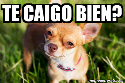 Meme Personalizado - Te caigo bien? - 33060407