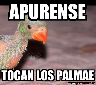 Meme Personalizado - apurense tocan los palmae - 33062804