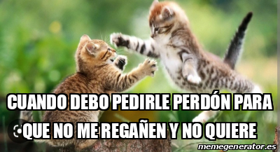 Meme Personalizado - Cuando debo pedirle perdón para que no me regañen ...