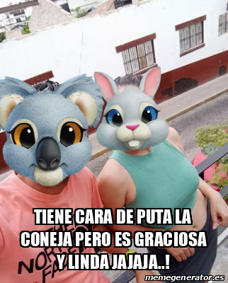 Meme Personalizado - TIENE CARA DE PUTA LA CONEJA PERO ES GRACIOSA Y ...