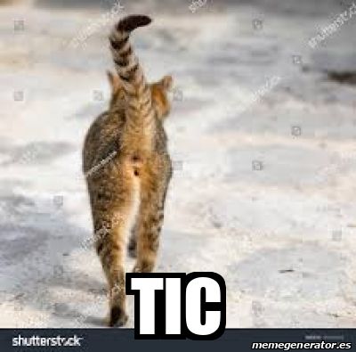 Meme Personalizado - Tic - 33067519