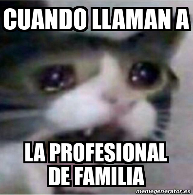 Meme Personalizado - cuando llaman a la profesional de familia - 33068944