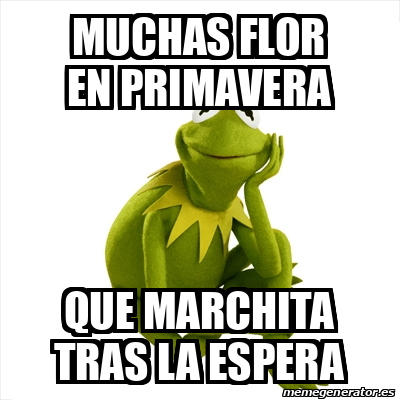 Meme Kermit the frog - Muchas flor en primavera Que marchita tras la ...