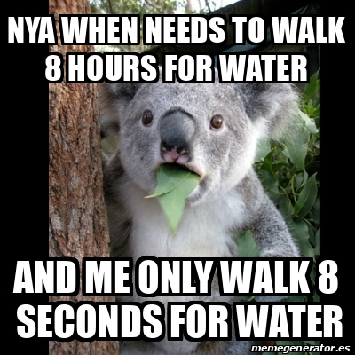 Meme Koala - Nya when needs to walk 8 hours for water And me only walk ...