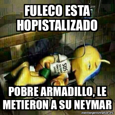 Meme Personalizado - FULECO ESTA HOPISTALIZADO POBRE ARMADILLO, LE ...