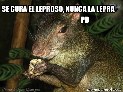 Meme Personalizado - Se cura el leproso, Nunca la lepra pd - 33650839