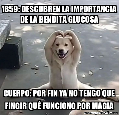 Meme Personalizado - 1859: descubren la importancia de la bendita ...