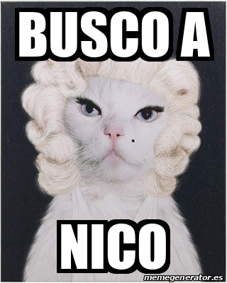 Meme Personalizado - BUSCO A NICO - 33070736