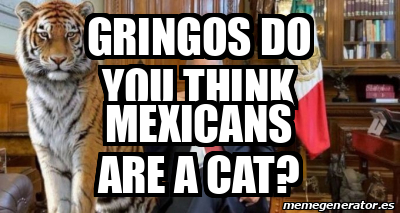 Meme Personalizado - Gringos do you think Mexicans are a cat? - 33071336