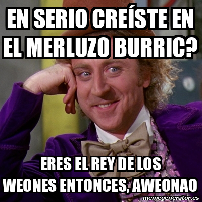 Meme Willy Wonka - En serio creíste en el Merluzo Burric? Eres el Rey ...