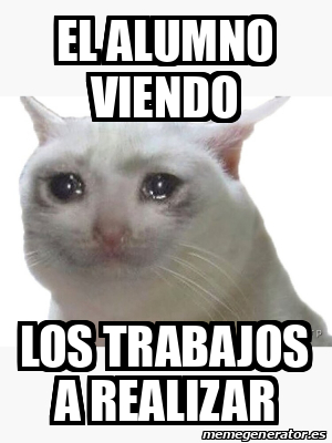 Meme Personalizado - el alumno viendo los trabajos a realizar - 33074600