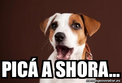 Meme Personalizado - picá a shora... - 33075966