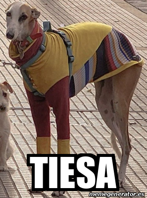 Meme Personalizado - tiesa - 33076728
