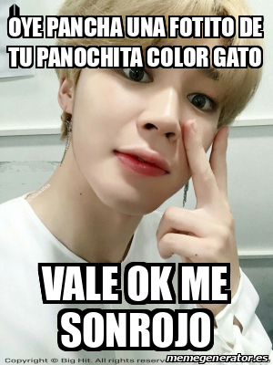 Meme Personalizado - oye pancha una fotito de tu panochita color gato ...