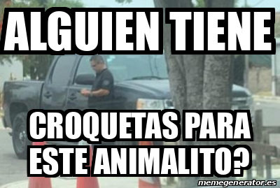 Meme Personalizado - alguien tiene Croquetas para este animalito ...