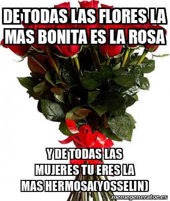 Meme Personalizado - De todas las flores la mas bonita es la rosa Y de ...