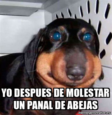 Meme Personalizado - yo despues de molestar un panal de abejas - 33081427