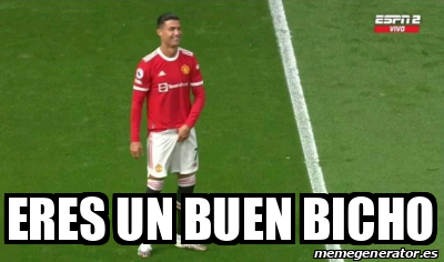 Meme Personalizado - ERes un buen bicho - 33082514
