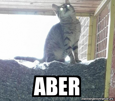 Meme Personalizado - Aber - 33088091