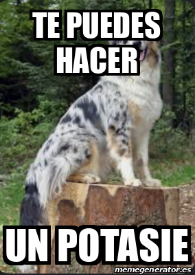 Meme Personalizado - Te puedes hacer Un potasie - 33092856