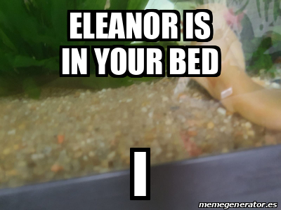 Meme Personalizado - eleanor is in your bed i - 33096040