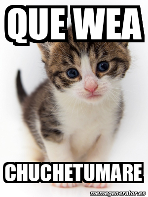 Meme Personalizado - que wea chuchetumare - 33096291