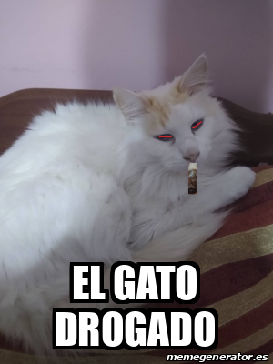 Meme Personalizado - el gato drogado - 33096928