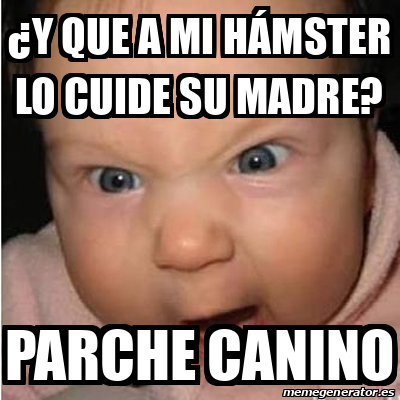 Meme Bebe furioso - ¿Y que a mi hámster lo cuide su madre? Parche ...